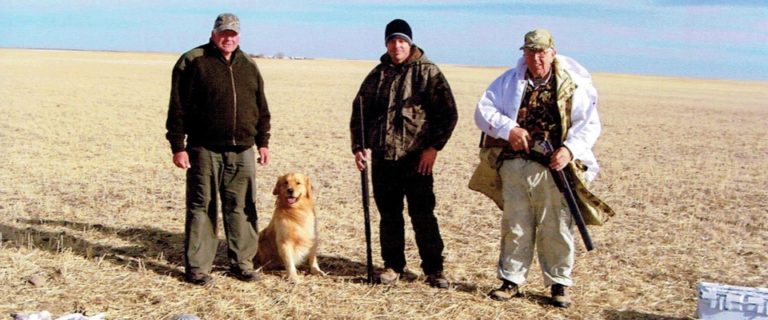 tkw2ckoa7d_eaa838e5_6195_f624_81b1_4d528de137ef - Goldwing Kennels